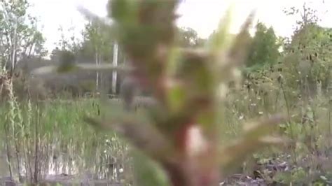 Mud Pit Tour ThisVid Com