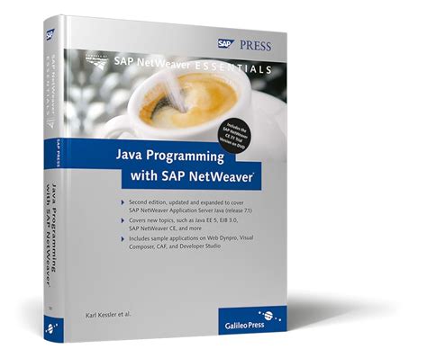 Buy Java Programming With Sap Netweaver Book Online At Low Prices In India Java Programming