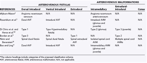 Classification Of Spinal Arteriovenous Lesions Neupsy Key
