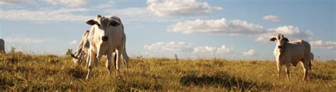 Center For High Throughput Computing Chtc On Linkedin How The Glue Lab Is Bringing The