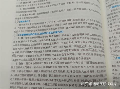 脂肪肝容易导致糖尿病的机理参看《内科学》 知乎