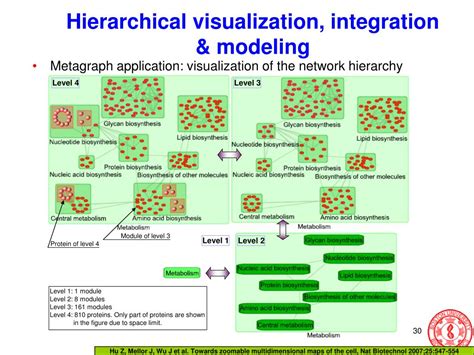 Ppt Multiple Scale Visualization And Modeling Of Biological Networkspathways Powerpoint