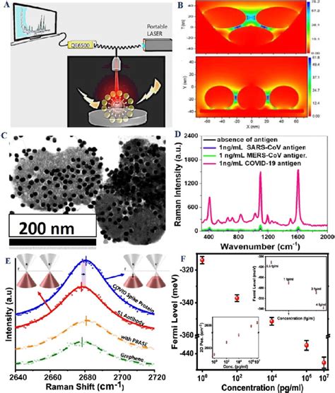 A Schematic Representation Of Portable Sers Probe Used For Download Scientific Diagram