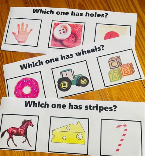 Sort Select And Label Features Bundle Aba Autism Dtt Ablls R B18 C38 And G16