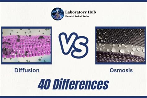 Staphylococcus Vs Streptococcus 25 Major Differences Laboratory Hub