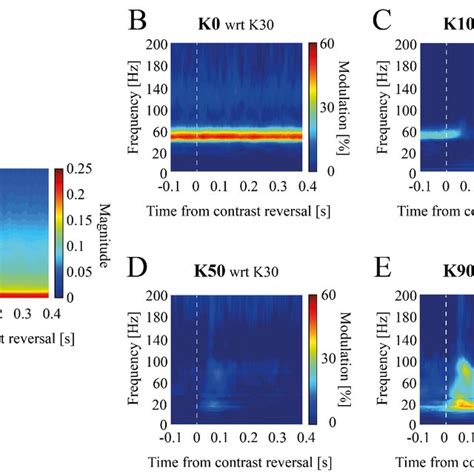 Temporal Evolution Of Contrast Dependent Spectral Modulation In Download Scientific Diagram
