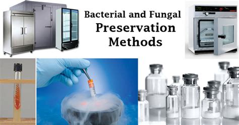 Bacterial And Fungal Preservation Methods
