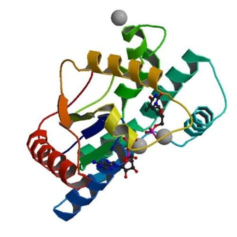 Enzyme Activity Measurement Of Dtmp Kinase