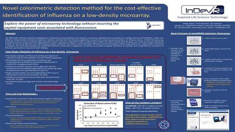 Novel Colorimetric Detection Method For The Cost Effective Identification Of Influenza On A Low