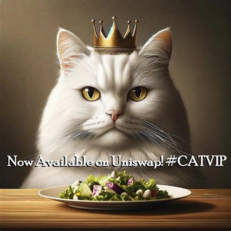 Unleash The Feline Frenzy Catvip Now Available For Purchase R