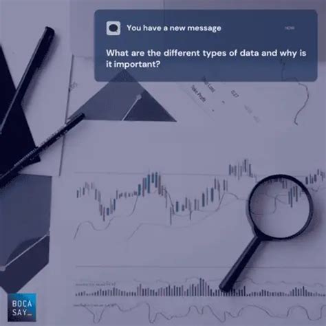 What Are The Different Types Of Data And Why Is It Important