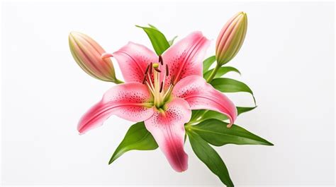 Premium Ai Image Elegant Lily Blossom