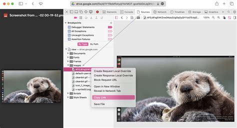 Image Doesnt Work Help Obsidian Forum