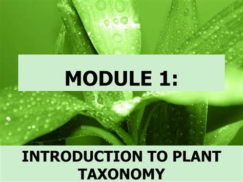 M1 1 Plant Taxonomy Online Pdf