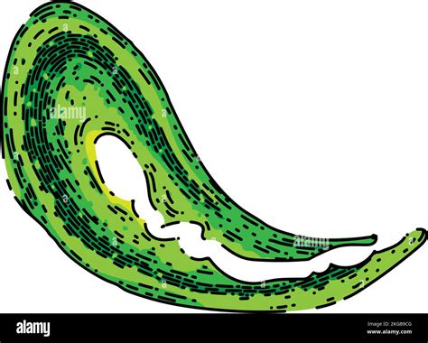 Pesto Sauce Splash Sketch Hand Drawn Vector Stock Vector Image And Art