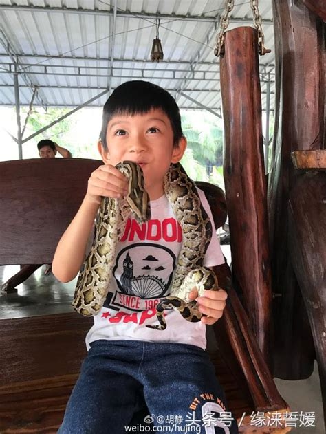 Word的天！胡靜的兒子膽子這麼大，大蟒蛇直接掛脖子 每日頭條