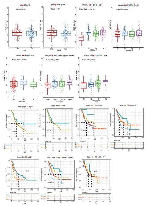 The Correlation Between Risk Score And Age A Gender B Tumor Download Scientific Diagram