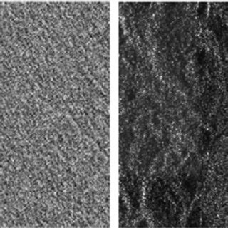 Signal Image Left Image And SLC Right Image Download Scientific Diagram