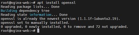 Instalasi Dan Konfigurasi Nginx Dan Menggunakan Ssl Idnid