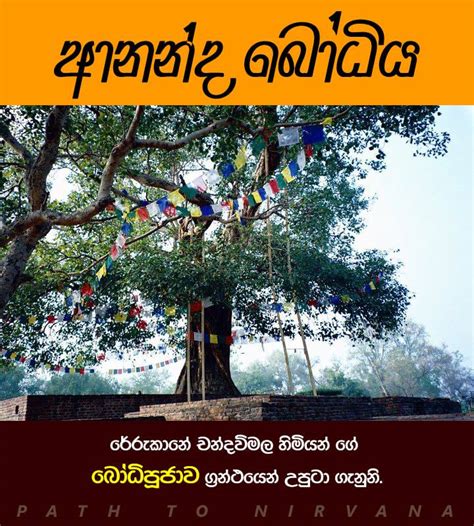 Prabhath Eranda ආනන්ද බෝධීන් වහන්සේ තථාගතයන් වහන්සේ ජනානුග්‍ර‍හය