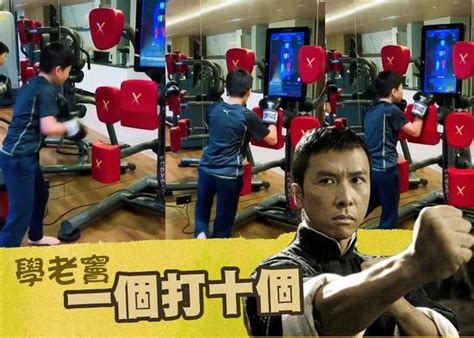 宇宙最强甄子丹晒儿子打拳视频被赞虎父无犬子一个打十个