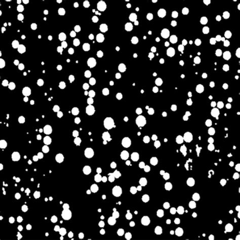 Binary Image For Bubble Detection Download Scientific Diagram