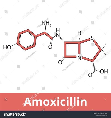 Chemical Structure Amoxicillin Amoxicillin Antibiotic Used Stock Vector Royalty Free