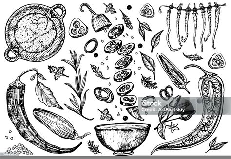 빈티지 스타일의 붉은 고추 샐러드 재료 농장 야채 벡터 일러스트레이션 손으로 그린 복고풍 스케치가 새겨져 있습니다 낙서 스타일 라벨에 대한 스톡 벡터 아트 및 기타 이미지