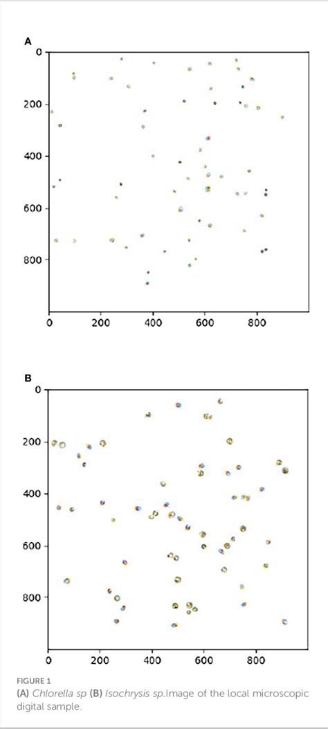 Figure 1 From An Improved Algae Yolo Model Based On Deep Learning For Object Detection Of Ocean
