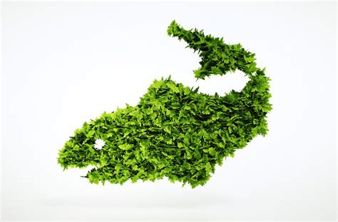 Wnfcancun Louise Buttle Phd