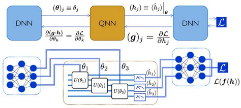 Example Of Inference And Hybrid Backpropagation At The Interface Of A Download Scientific