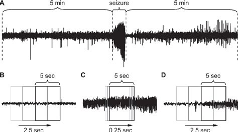 Figure 1 From Dual Deep Neural Network Based Classifiers To Detect