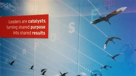 Elevating Open Leaders By Getting Out Of Their Way