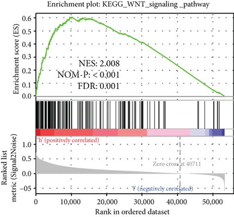 gsea identified copb2 related biological signaling pathways in hcc a download scientific
