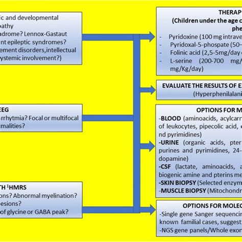 A Suggested Algorithm For The Diagnostic Work Up Of Epileptic Patients Download Scientific