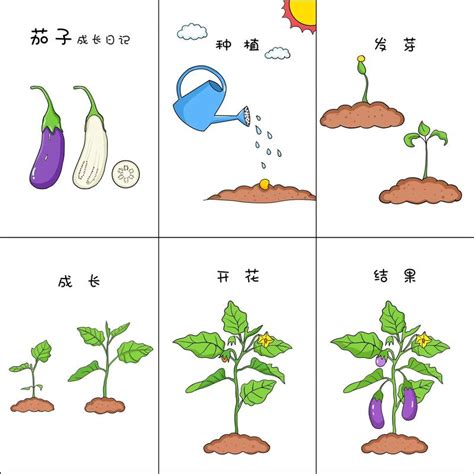 植物是怎样长大的儿童画简单（漂亮20张） 儿童画图片大全