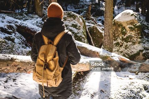 모자를 쓴 수염을 기운 남자와 배낭은 겨울에 는 숲에서 등을 대고 서 있다 걷기에 대한 스톡 사진 및 기타 이미지 걷기 겨울 겨울 코트 Istock