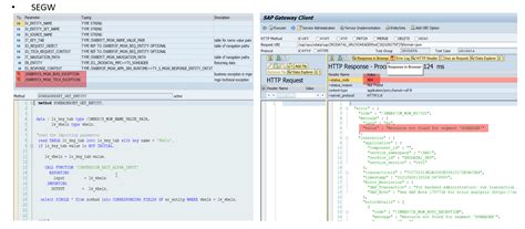 Abap Code To Raise Exception With Text Message In Sap Odata Method