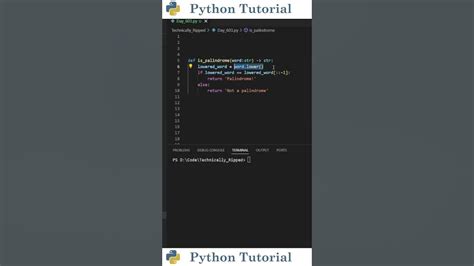 Finding Palindromes With Python Python Tutorial Youtube