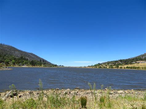 Wang Lab Molecular Engineering For Cellular Imaging And Reprogramming UCSD