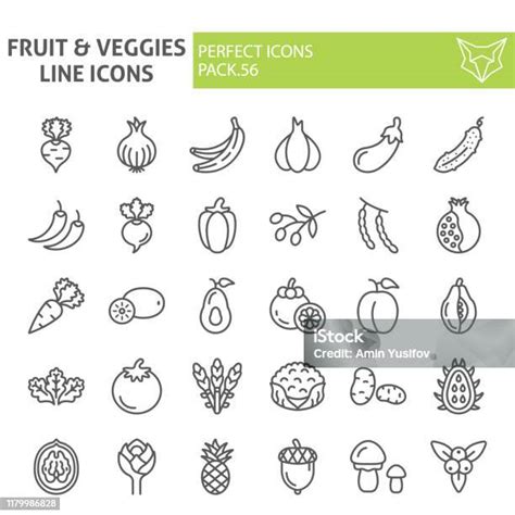 과일과 야채 라인 아이콘 세트 음식 기호 컬렉션 벡터 스케치 로고 일러스트 레이션 식료품 표지판 흰색 배경에 고립 된 선형 Pictograms 패키지 0명에 대한 스톡 벡터