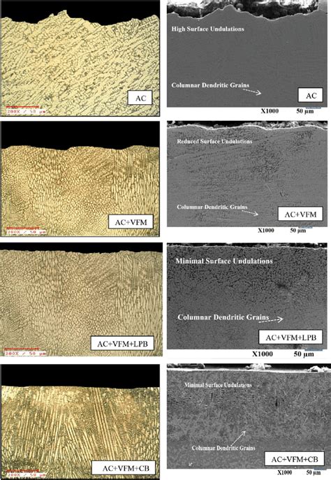 Sem Images And Optical Microstructures Taken On Sample Surface