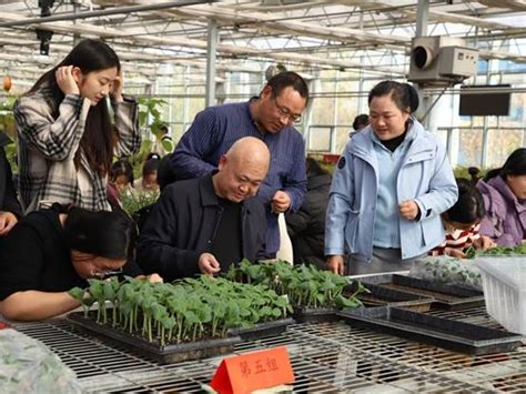 信阳农林学院举办第一届蔬菜嫁接育苗技能大赛 信阳农林学院 园艺学院