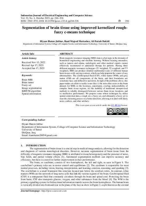 Pdf Segmentation Of Brain Tissue Using Improved Kernelized Roughfuzzy