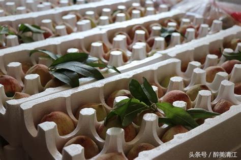 湖北清江血桃 沒什麼緣故你長得好看聞著香甜便心生歡喜 每日頭條