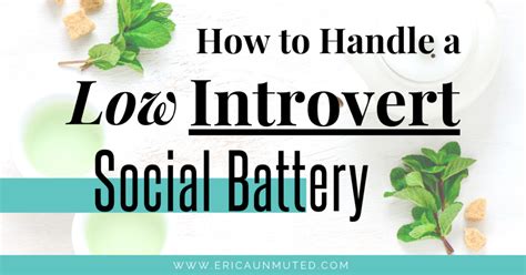 How To Handle A Low Introvert Social Battery Erica Unmuted