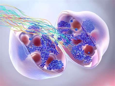 多发性骨髓瘤诊断标准 骨髓瘤常识 骨髓瘤 肿瘤疾病大全 癌症肿瘤科普知识 有来医生