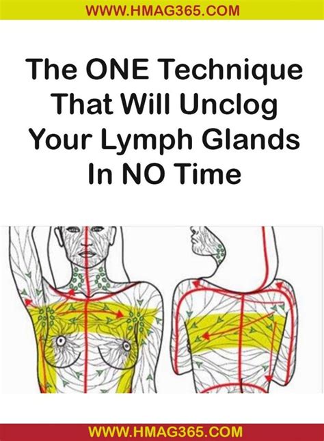 The ONE Technique That Will Unclog Your Lymph Glands In NO Time Lymph Glands Glands Unclog