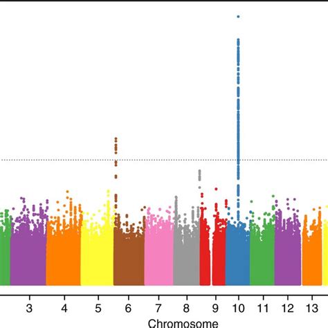 Manhattan Plot Of Meta Analysis Log10p Values For The Association Of Download Scientific