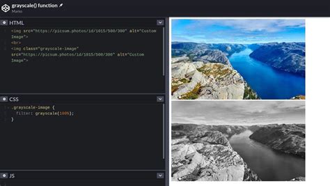 Css Tip Use The `grayscale` Filter Function To Convert The Input Image Marko Denic